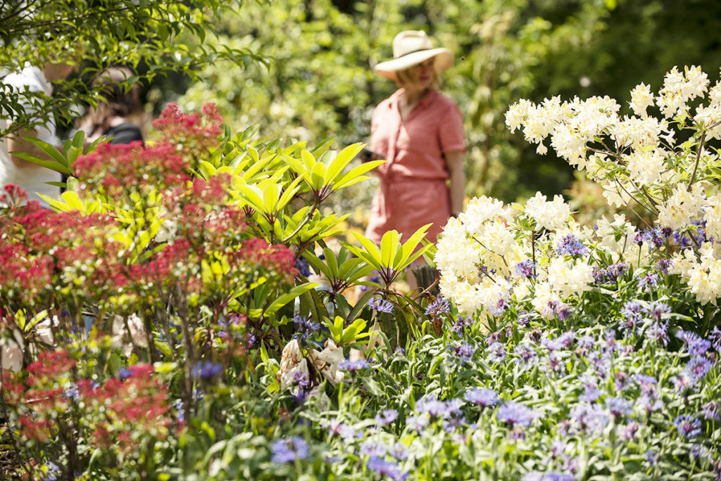 Discover 6 beautiful botanical spaces in this garden paradise - West ...