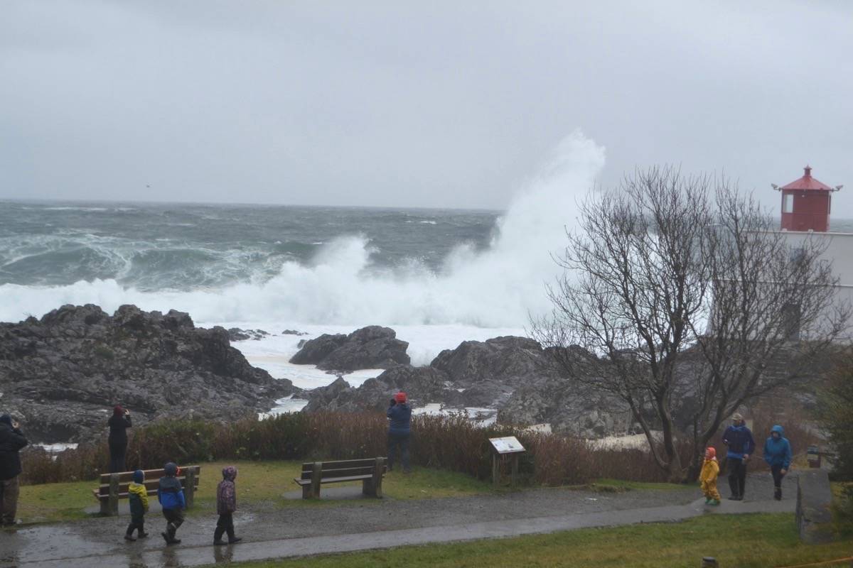 WATCH: Radical wave storm hits Ucluelet’s Wild Pacific Trail - West ...