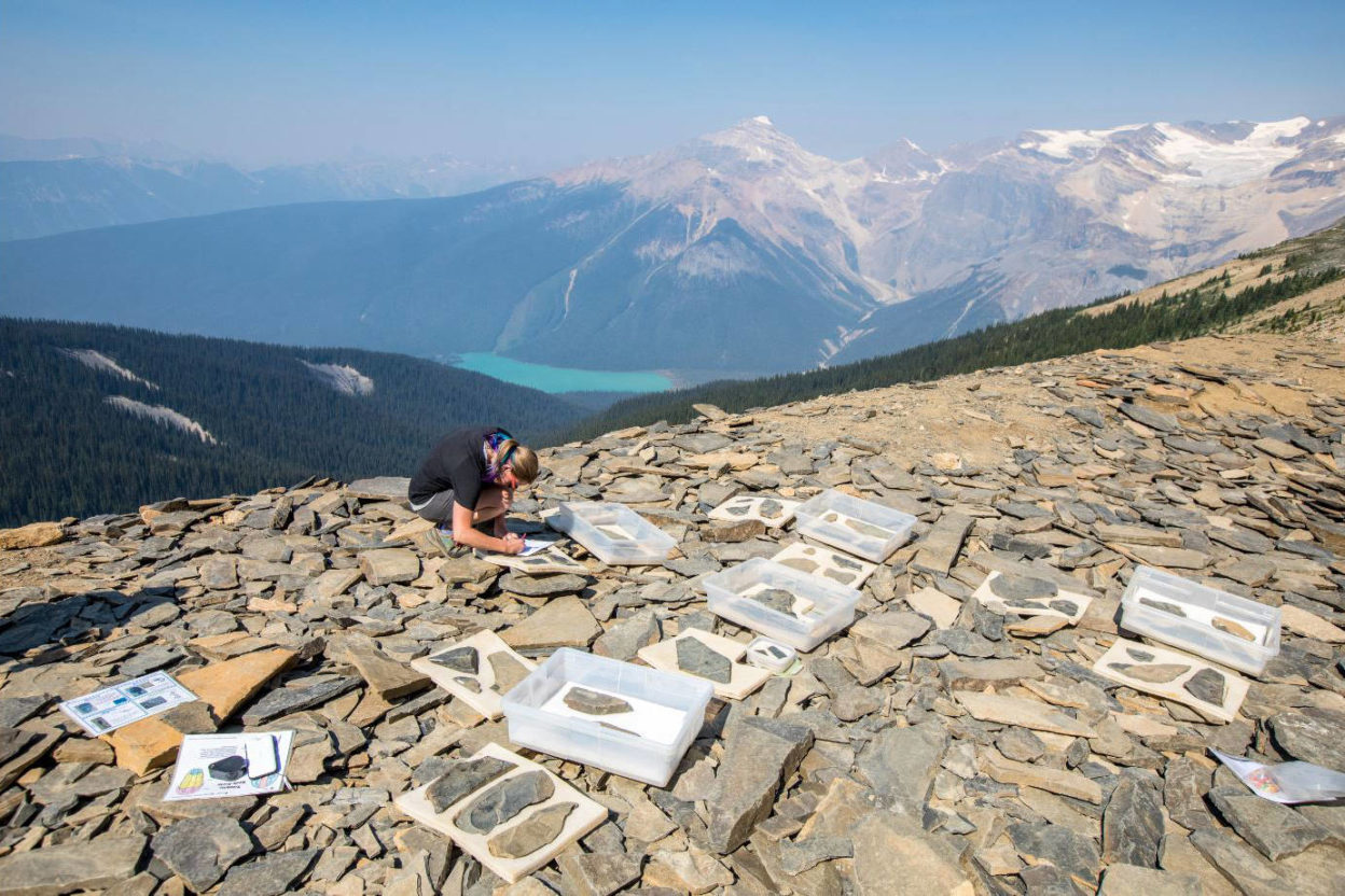 Extreme Hiking in the Burgess Shale | West Coast Traveller