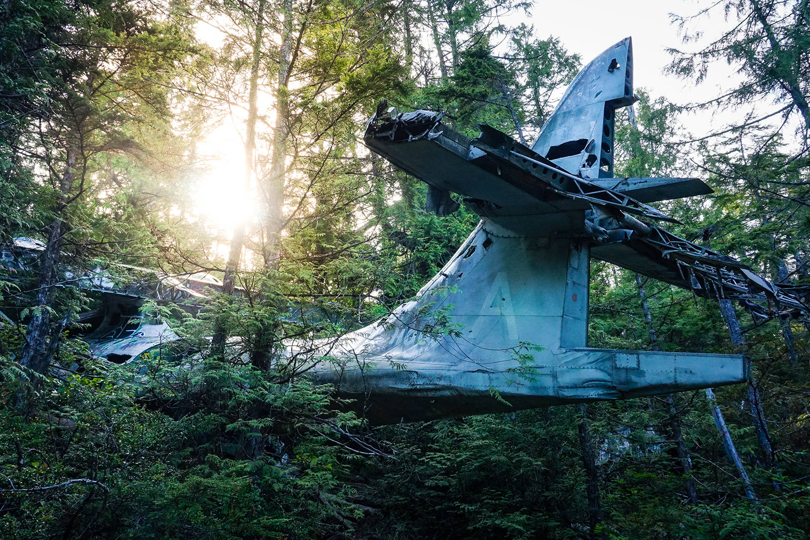 Hiking through history: Exploring Second World War landmarks on ...