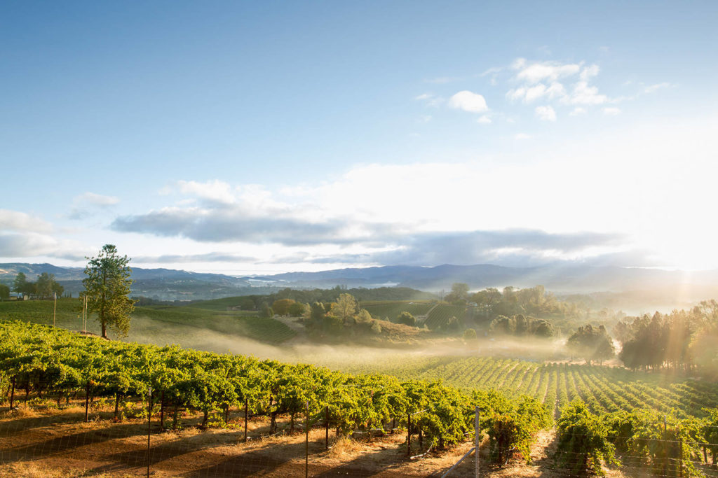 Travel for Two: Visit Sonoma County for the wine — but also for its ...