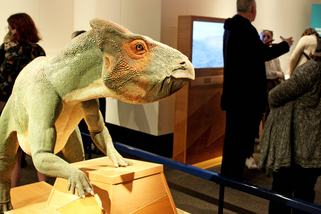 Behind the scenes with a B.C. dino hunter, plus tips for finding ...