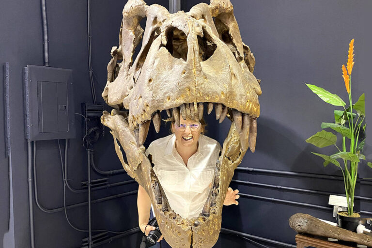 Inside Victoria B.C.’s T.rex invasion - West Coast Traveller
