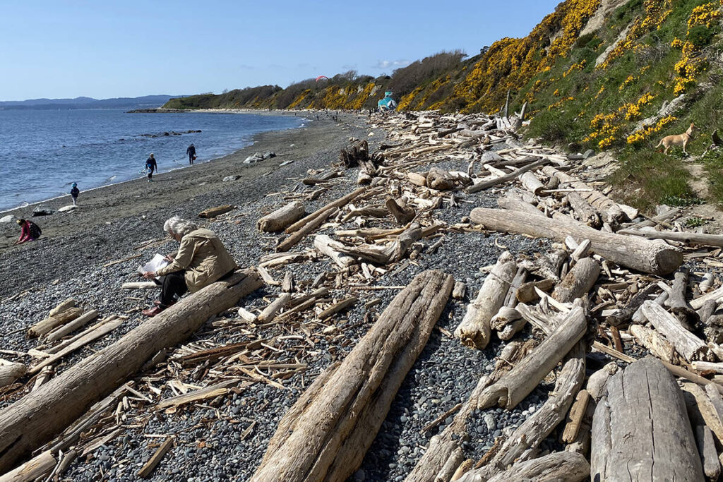 6 Amazing Greater Victoria Beaches | West Coast Traveller