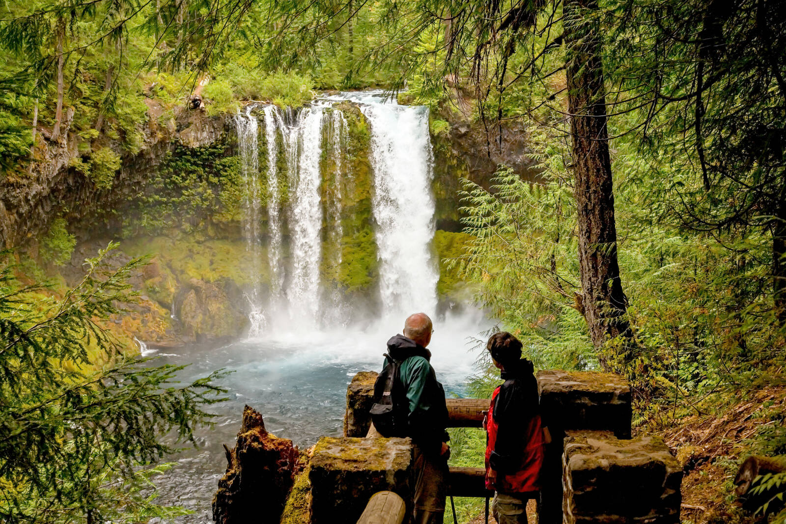 Waterfalls Loop Trail on Oregon’s McKenzie River is a summertime treat ...