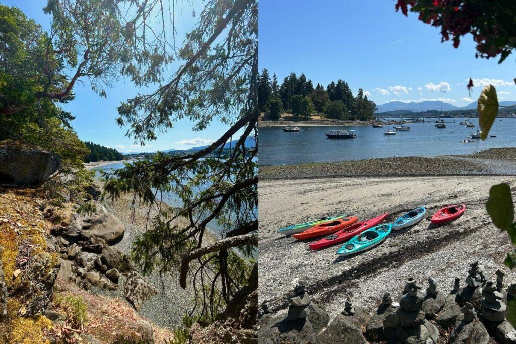 Indigenous tourism plays crucial role in promoting Island’s 50 First ...