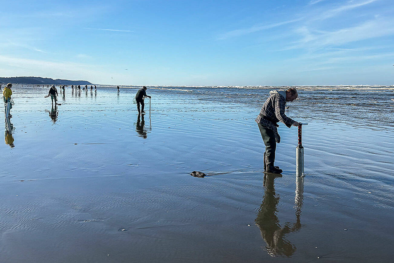 Washington roadtrip to Moclips: razor clam digging with fries and ...